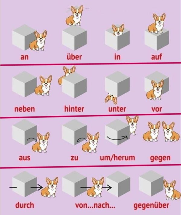 Almanca Edatlar (Präposition Dativ, Akkusativ) - AlmancaABC