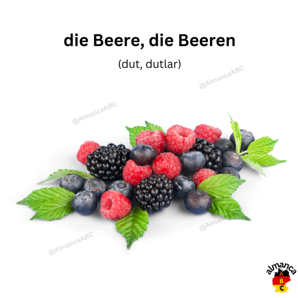 Almanca Meyveler Listesi - das Obst | 38 Kelime