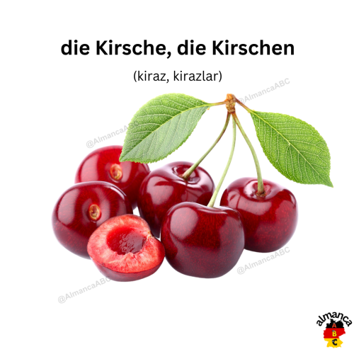 Almanca "Kirsche" meyvesinin Türkçe çevirisi nedir?