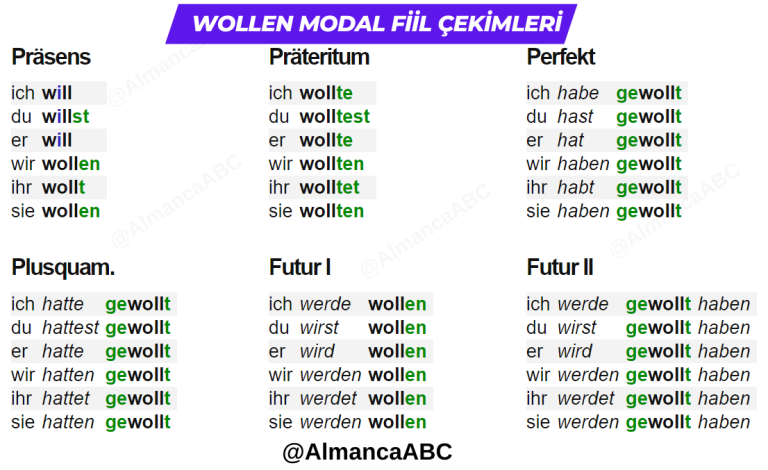 Almanca "Wollen" Ne Demek? (Fiil Çekimi & ilgili Cümleler)